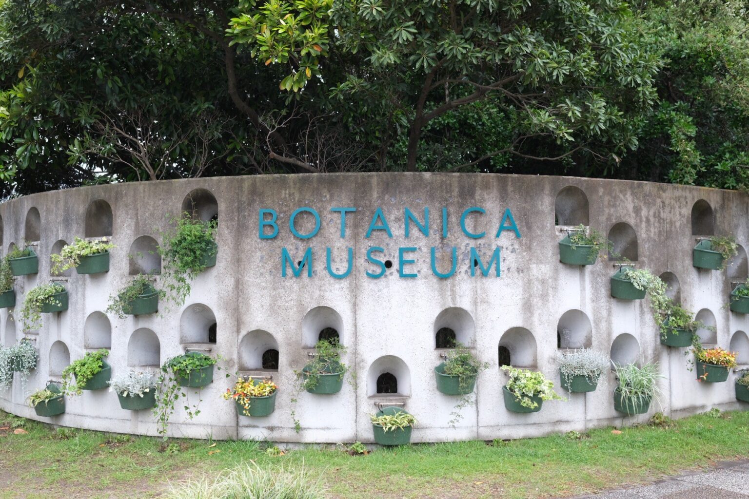 3月29日リニューアルオープン！植物×アートの体験型施設「BOTANICA MUSEUM」に行ってきたレポ